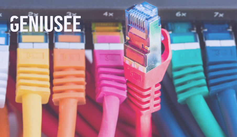 IT department structure: everything you need to know | Geniusee